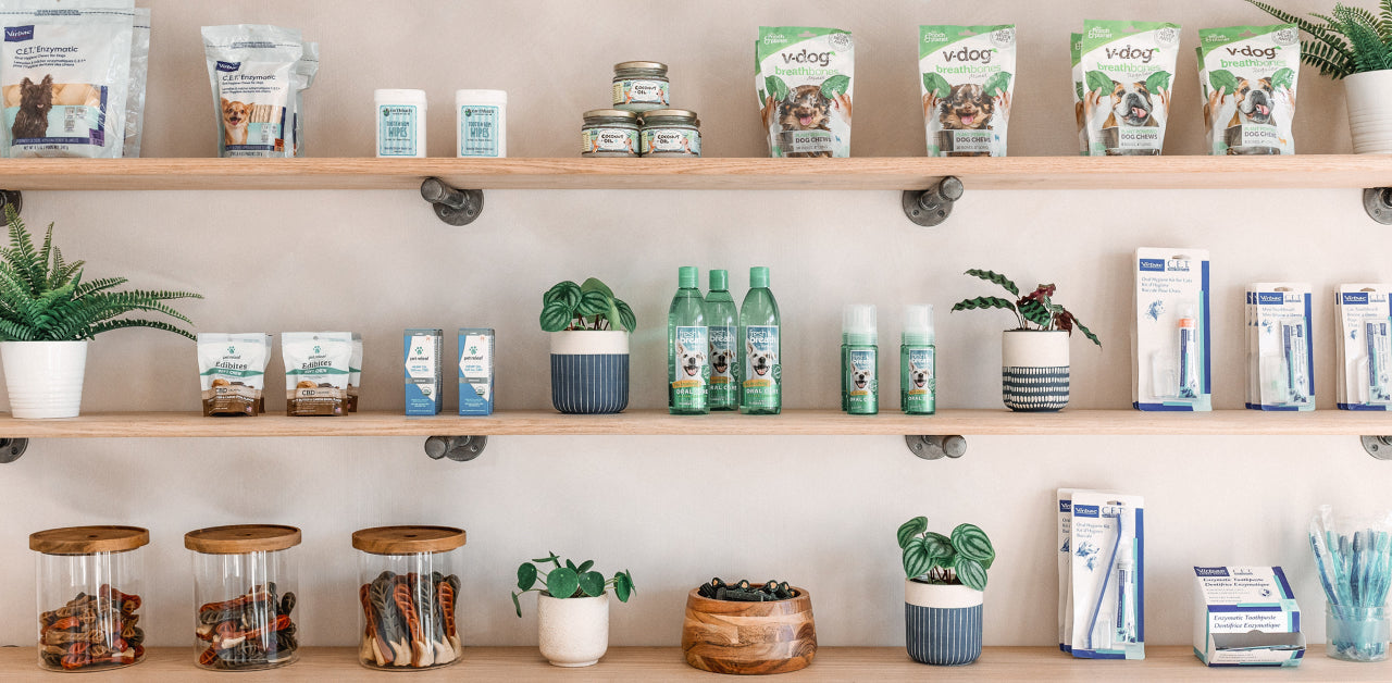 Online Pet Care Store – HealthySmiles Store