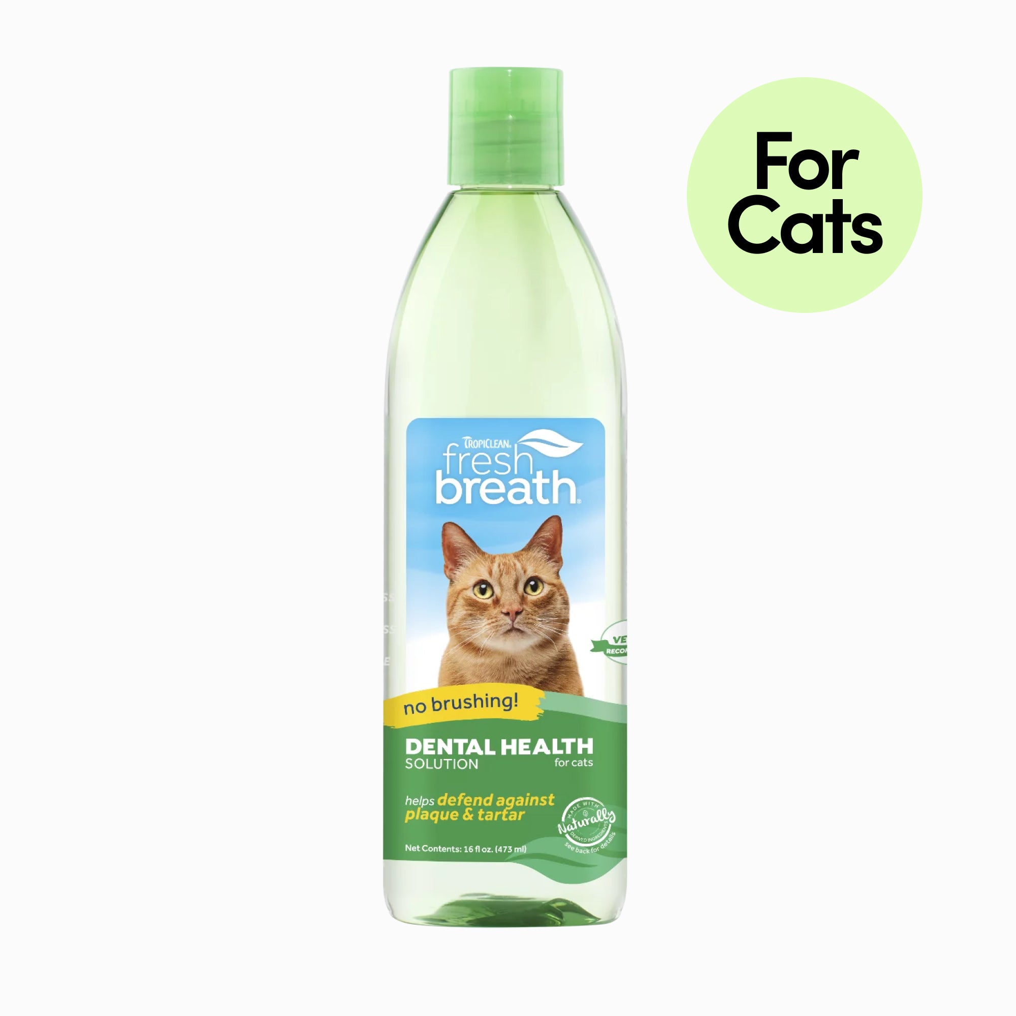 Dental Water Additive for Cats – HealthySmiles Store